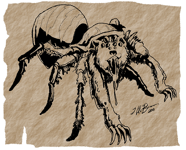 5e: Young Spiderbear – Jon Brazer Enterprises