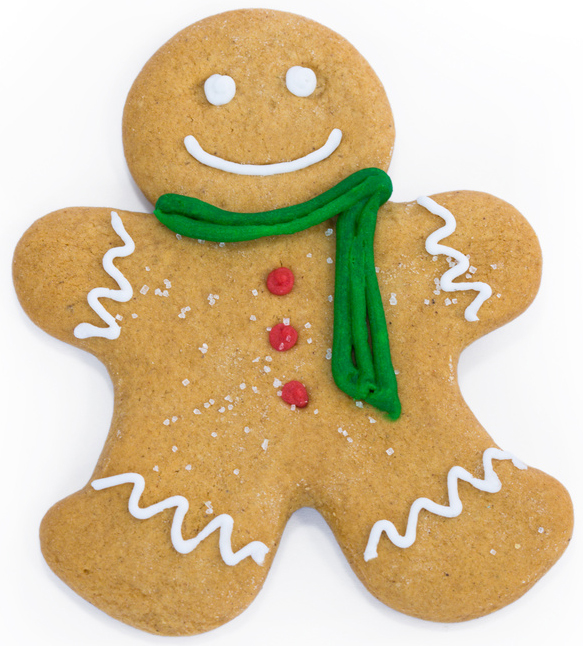 5e: Giant Gingerbread Golem – Jon Brazer Enterprises