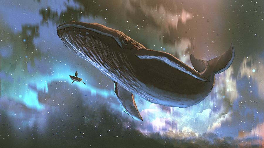 5e: Baby Space Whale – Jon Brazer Enterprises